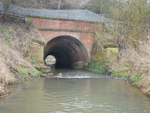 Billingham Beck | Projects | Whitcher Wildlife Ltd